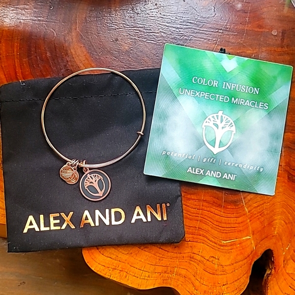 Alex and Ani | Jewelry | Alex And Ani Rose Gold Bracelet | Poshmark